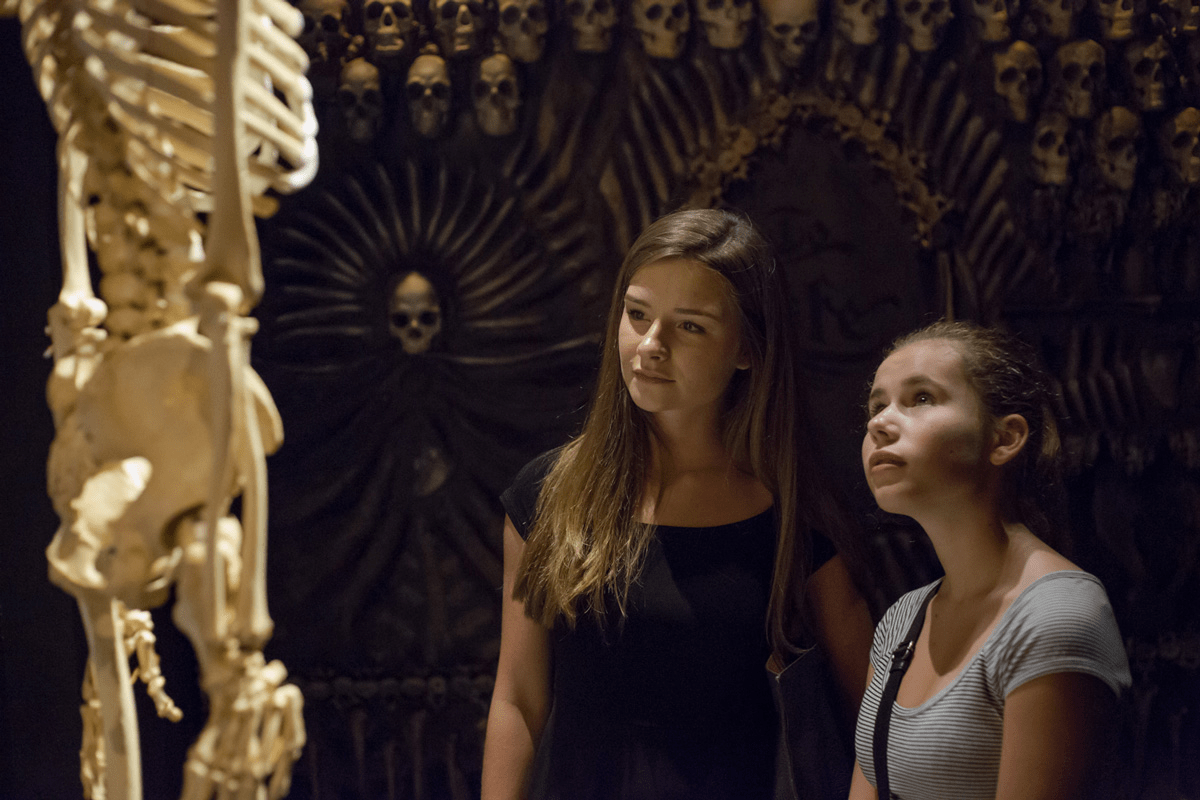 Real Bodies Exhibition in Las Vegas – Human Anatomy Revealed
